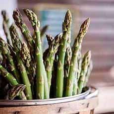 The Nibble Webzine Of Food Adventures